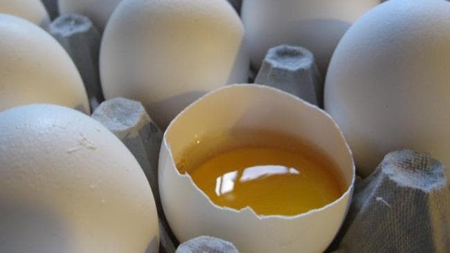 Posso mangiare le uova? Scoprilo con queste 18 risposte - la Repubblica