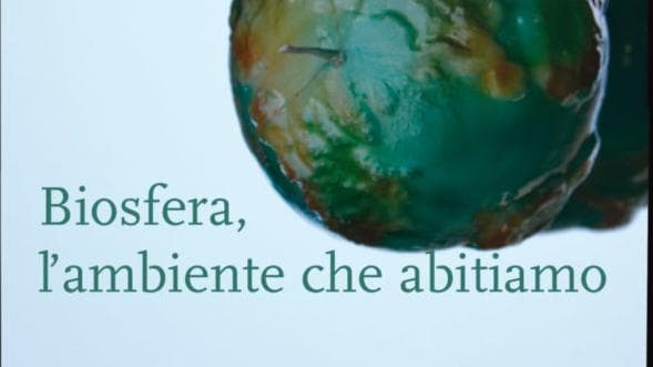 Esempi Di Biosfera