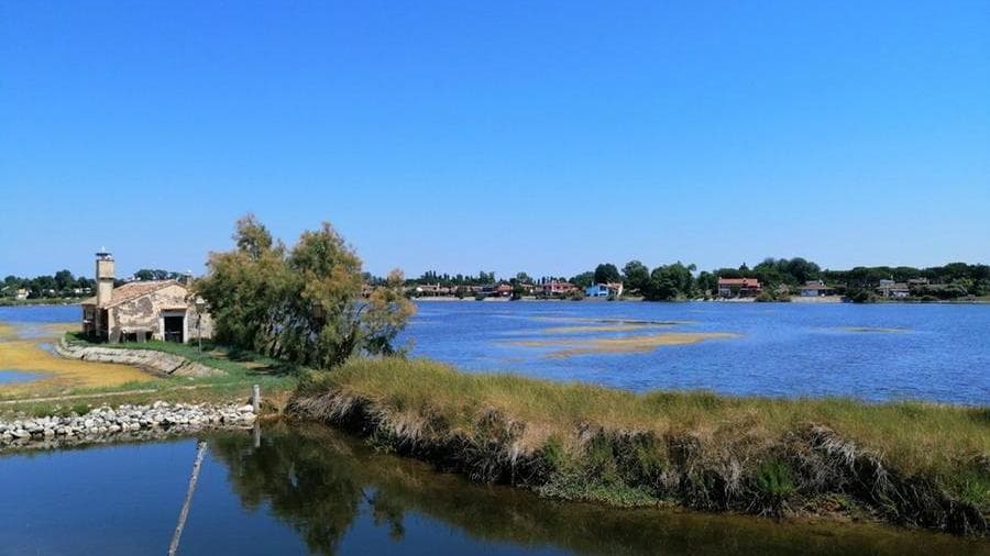 L'isola di Albarella apre al turismo slow, tra bici, natura e sport ...