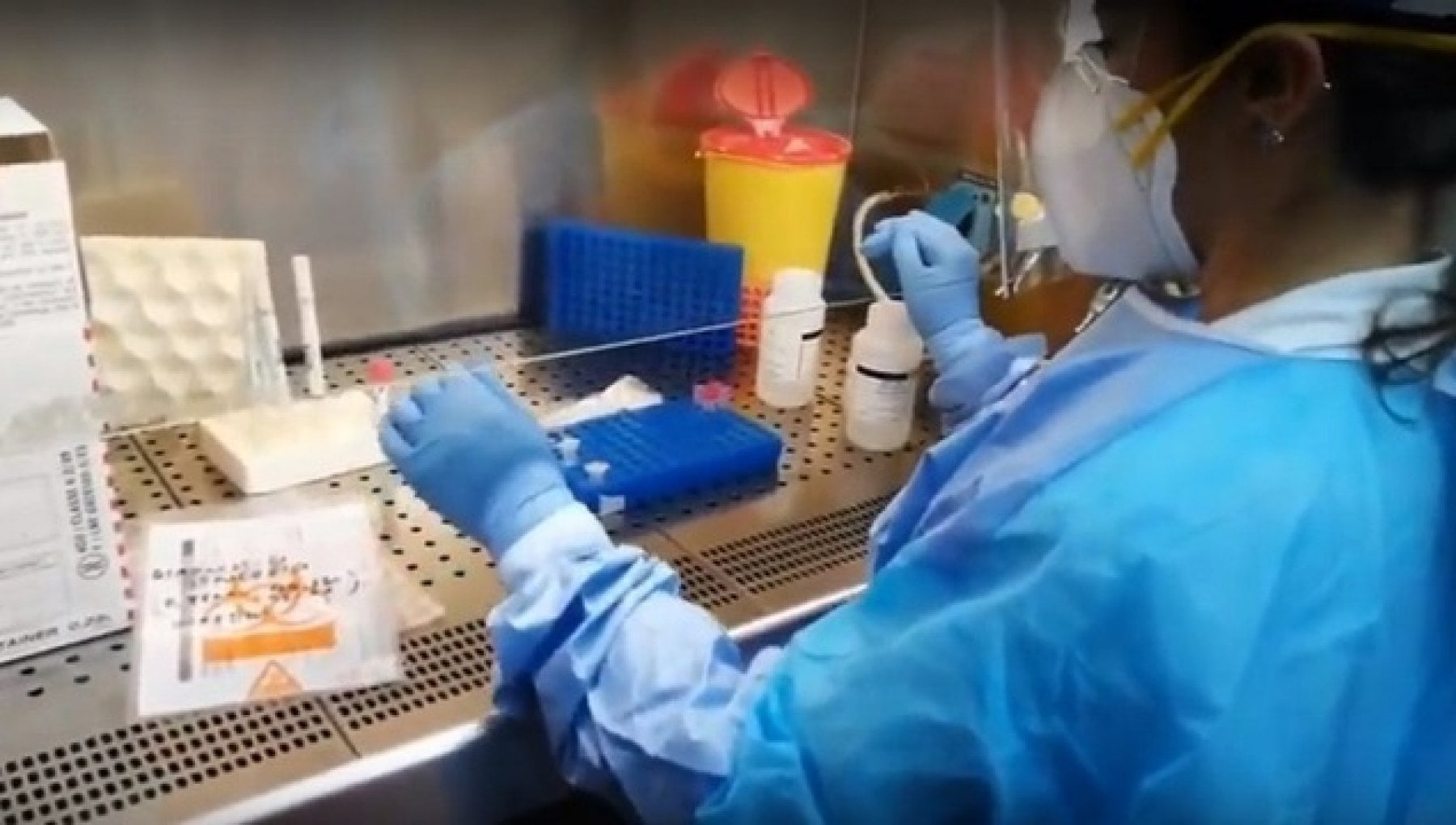 Antibodies A New Test Can Reveal How Much We Can Trust Our Immune Antibodies A New Test Can Reveal How Much We Can Trust Our Immune