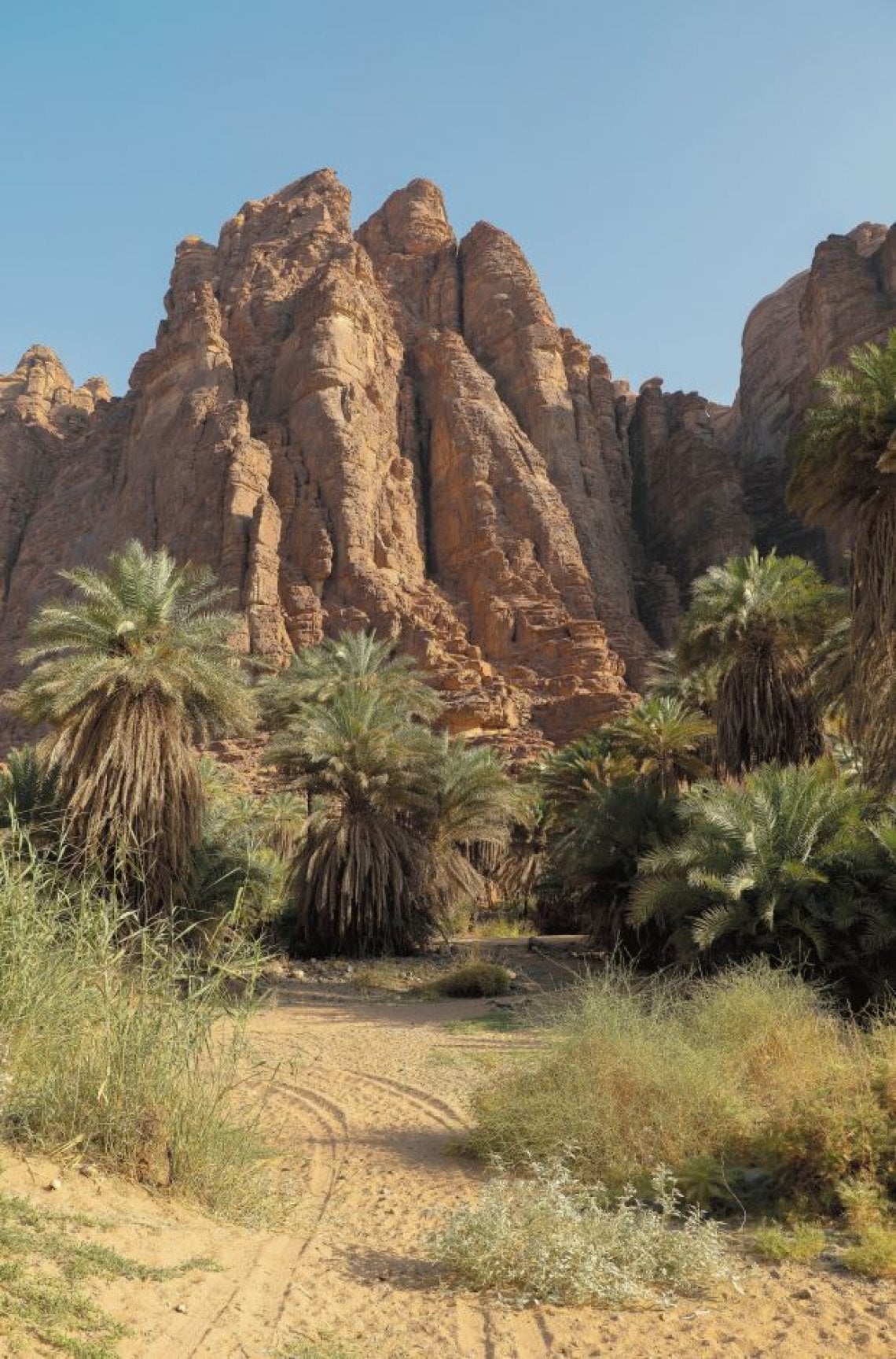 L'Arabia Saudita apre al turismo inaugurando Al-Ula, la "nuova" Petra ...