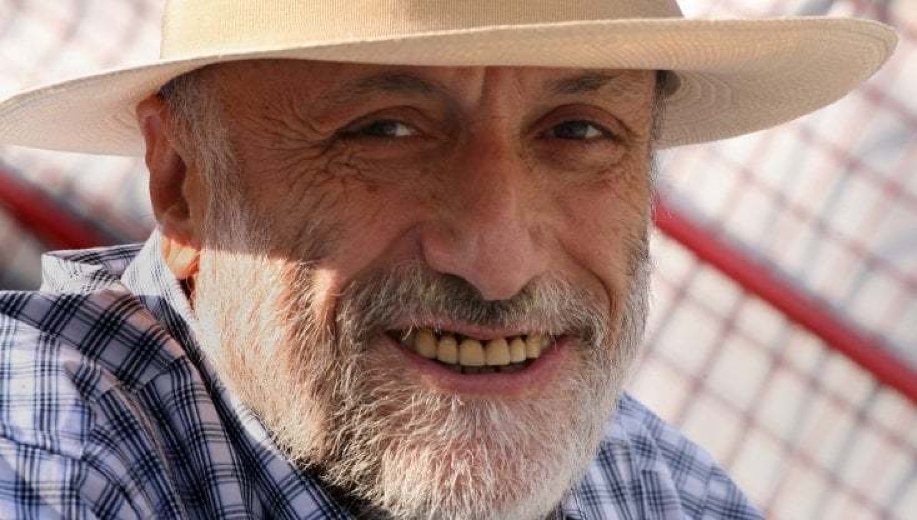 Osterie italiane: per Carlo Petrini sono un modello di sostenibilità ...