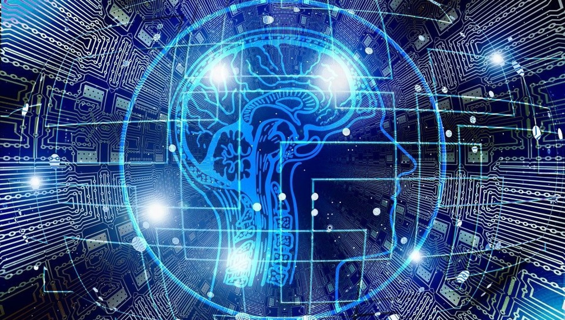 Week Of The Brain The Experts Let s Always Protect It Not Only In Week Of The Brain The Experts Let s Always Protect It Not Only In