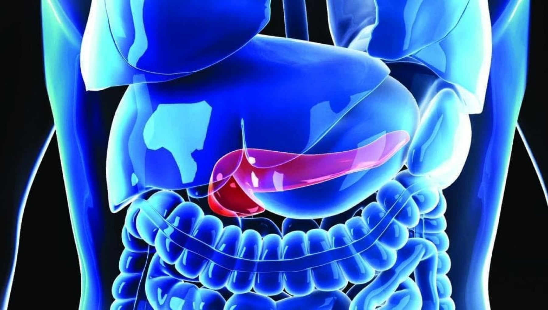 Cancro al pancreas, un test in via di sviluppo identifica il 95% dei ...