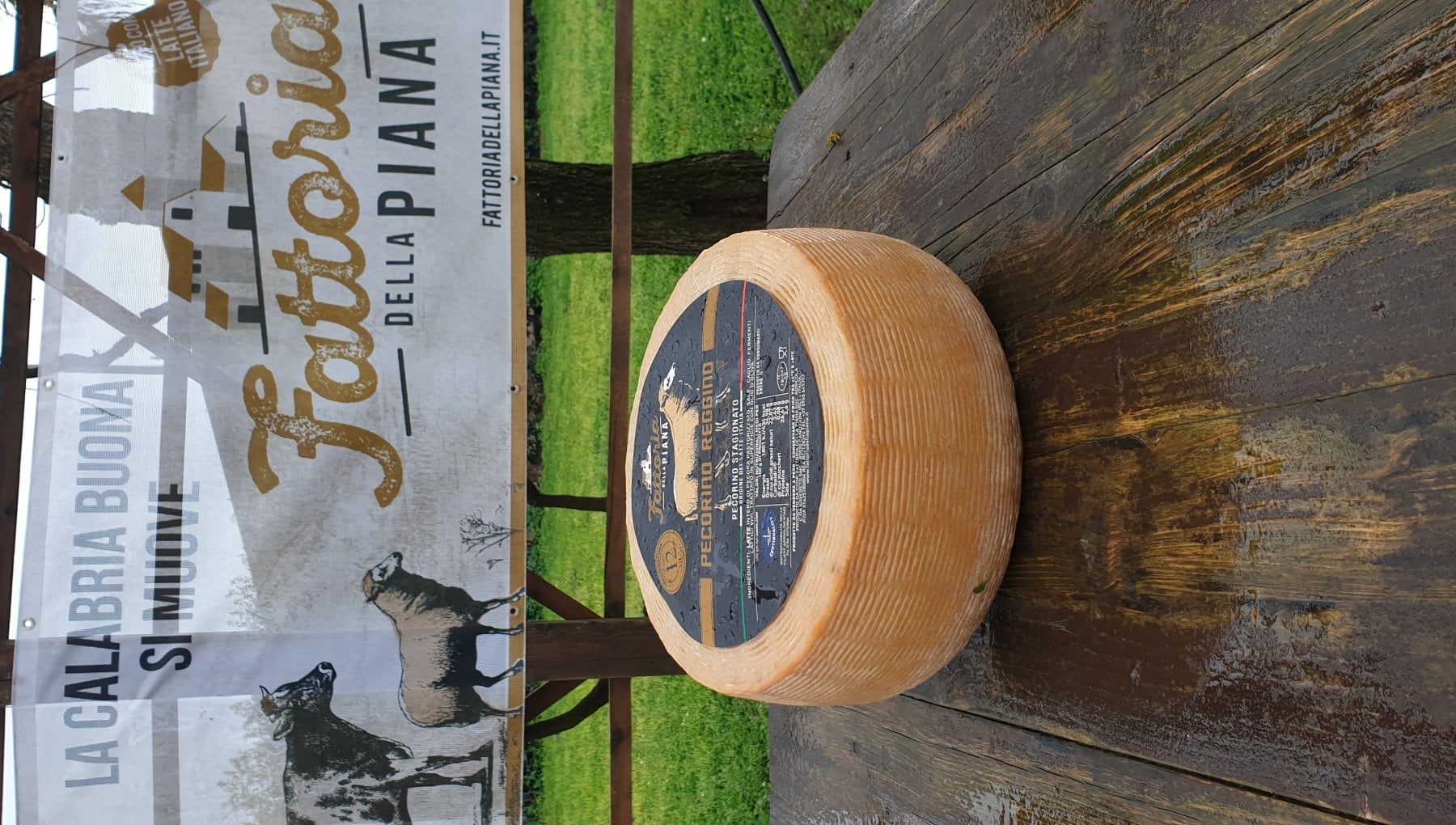Pecorino reggino, un formaggio calabrese sulla vetta del mondo - la ...