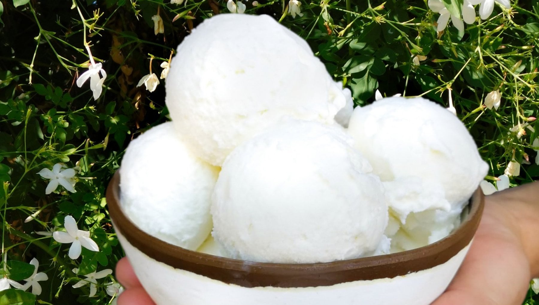 Storia del gelato al gelsomino - la Repubblica