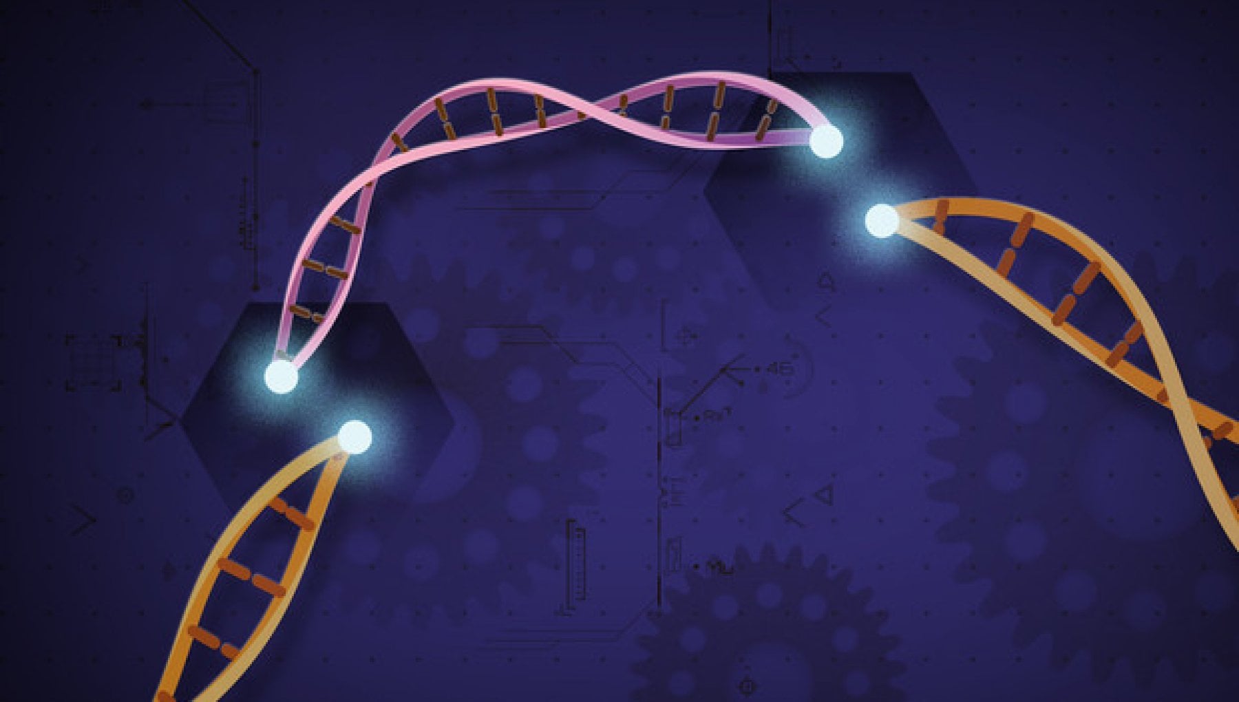 Taglia e cuci con il Dna? Tutti i rischi di Crispr - la Repubblica