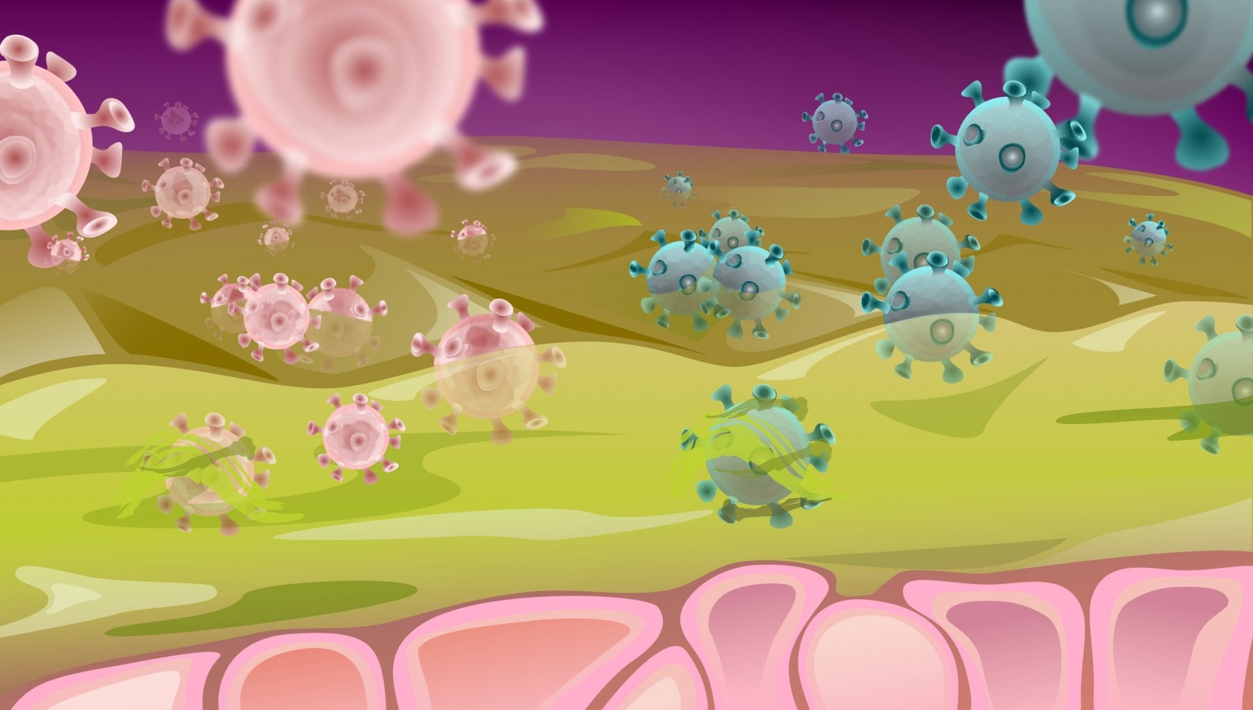 Against Viruses and Perhaps Also Covid A Mucus based Gel Breaking Against Viruses and Perhaps Also Covid A Mucus based Gel Breaking