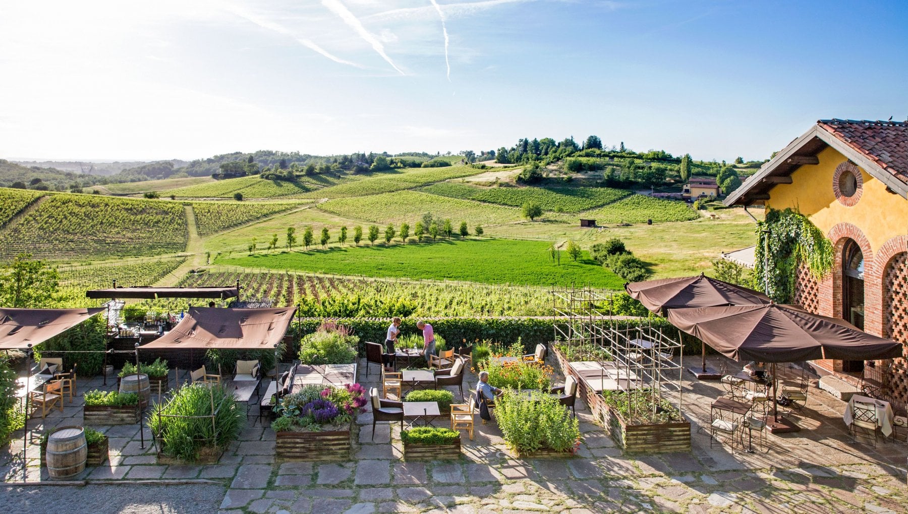 Vino, in provincia di Alessandria alla scoperta delle "cantine ...