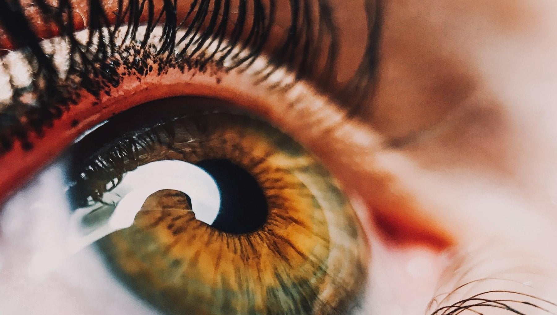 Sight Day At Least Once A Year We Do An Eye Check up breakinglatest Sight Day At Least Once A Year We Do An Eye Check up breakinglatest