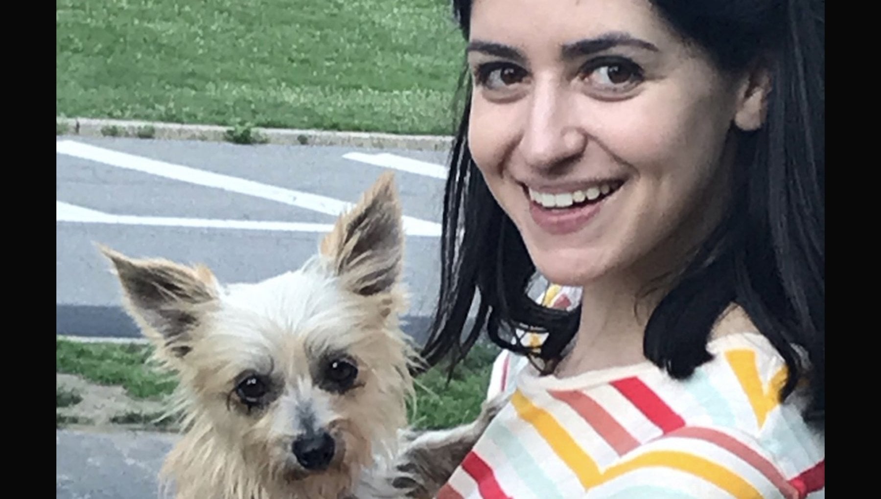 Tutti ignorano il cane Bob durante l'evento di adozione, ora lo ...