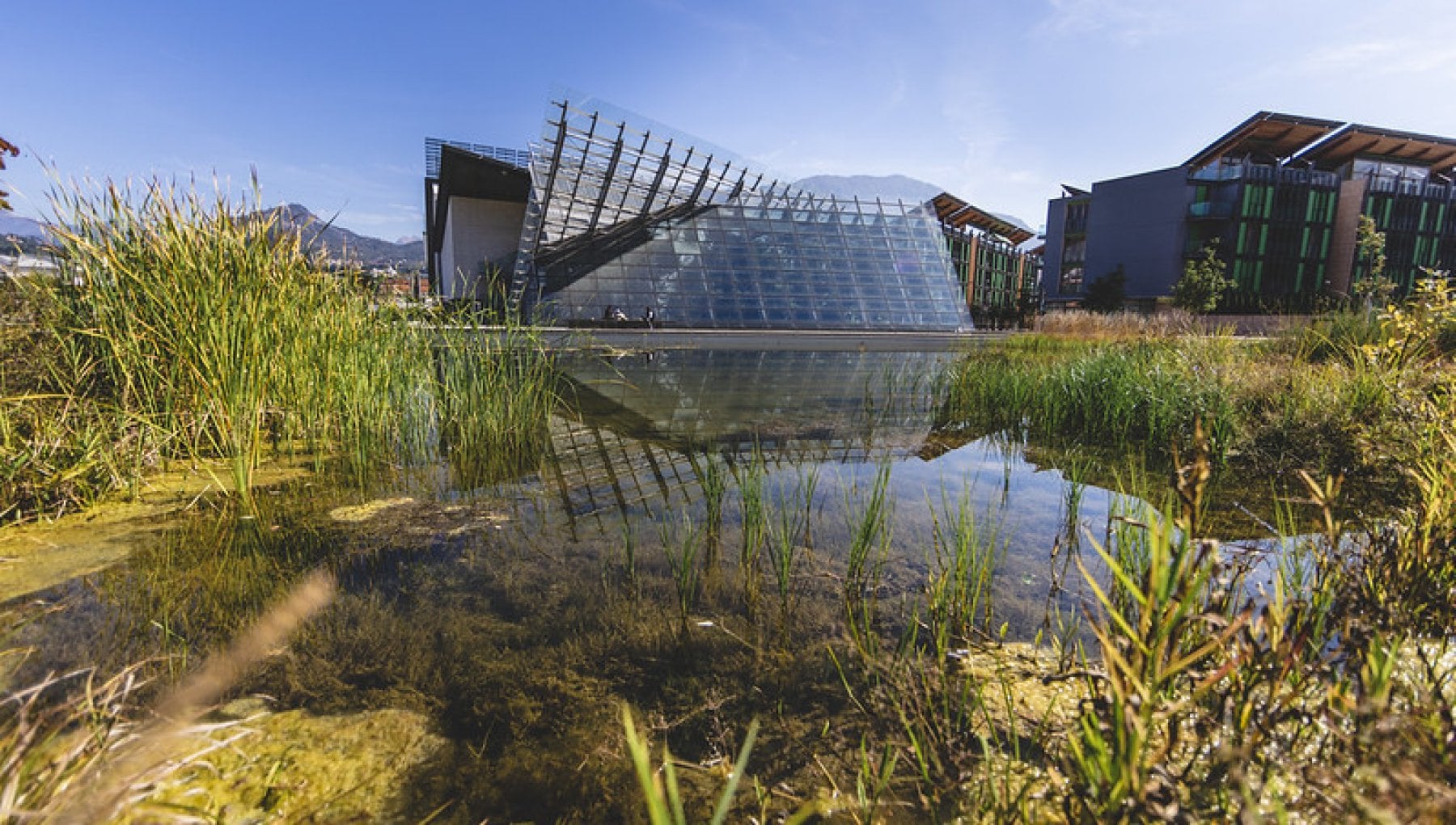 Il biotopo del Muse a Trento, la "casa" delle specie rare - la Repubblica