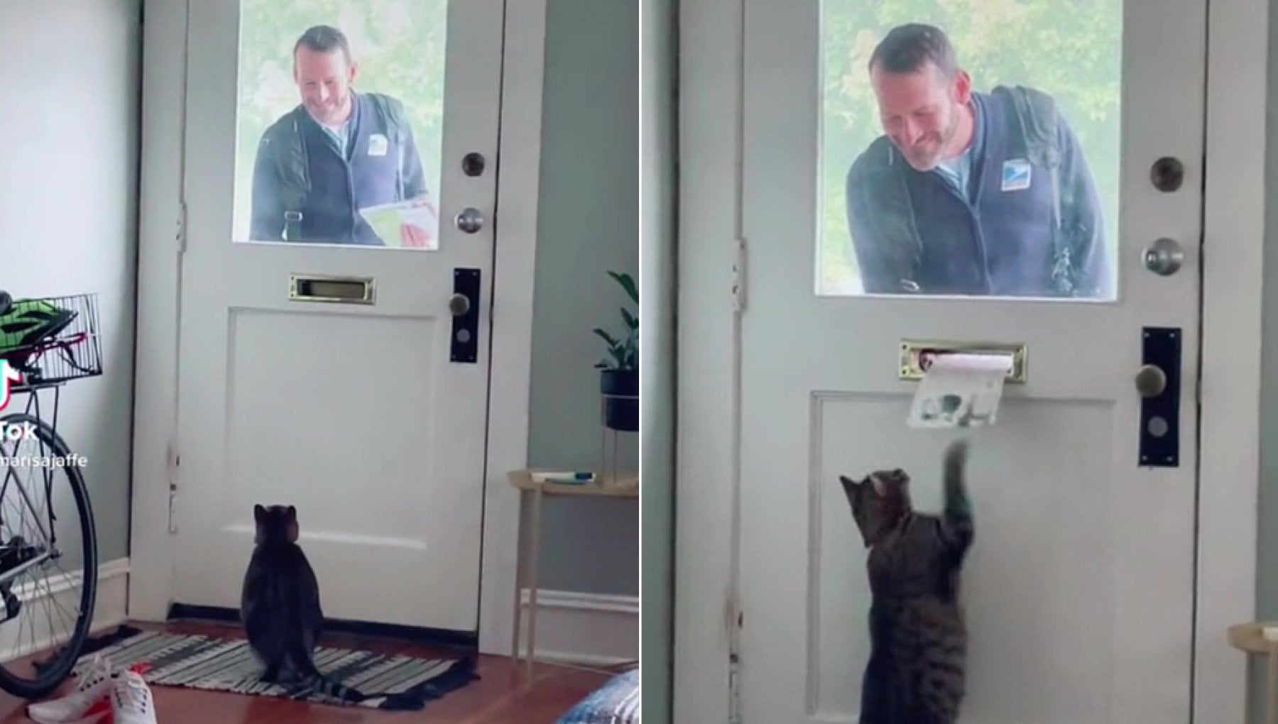 Il gatto e il postino: in un video la storia di un gioco da cui è nata ...