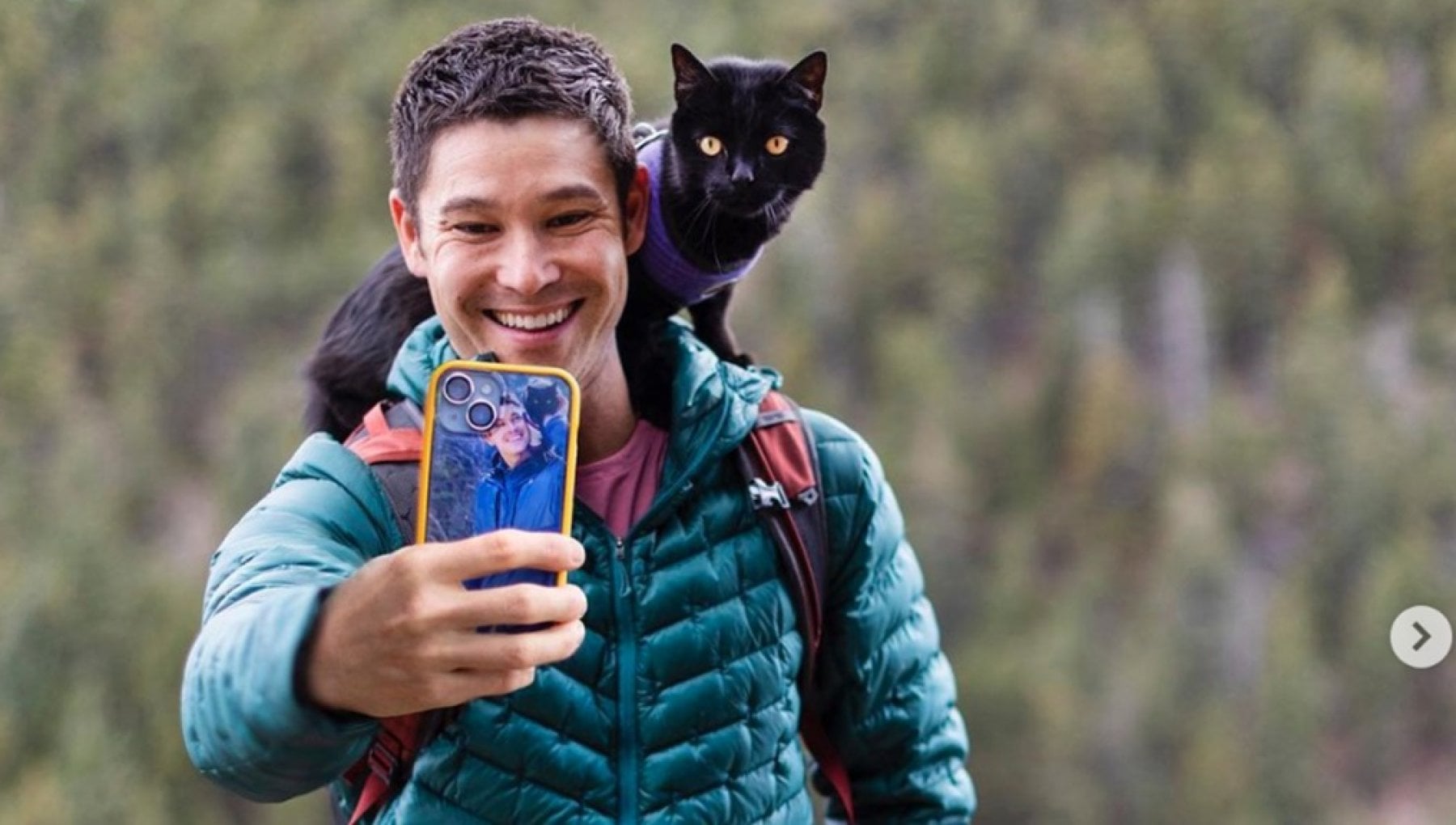 La vita a cinque stelle del gatto trovatello Simon: dal 2016 il suo ...