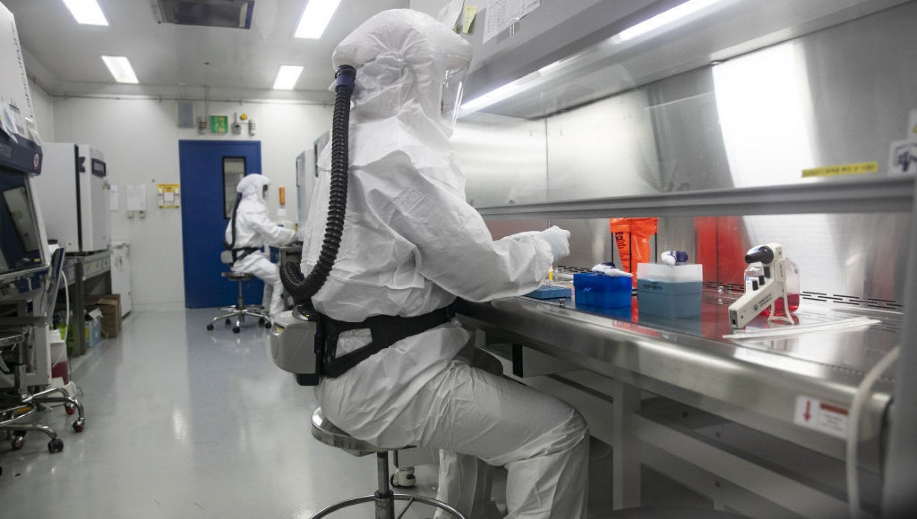 Non chiamateli virus "zombie" - la Repubblica