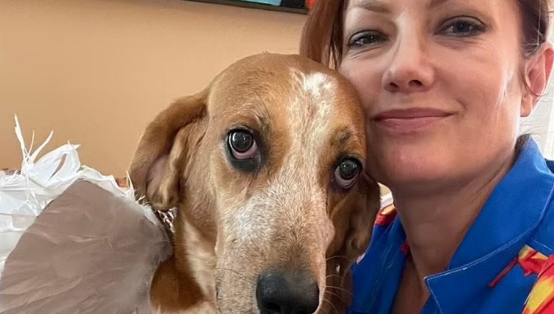 La nuova vita di Violet, Delilah e Petite, un cane e due gatti salvati ...