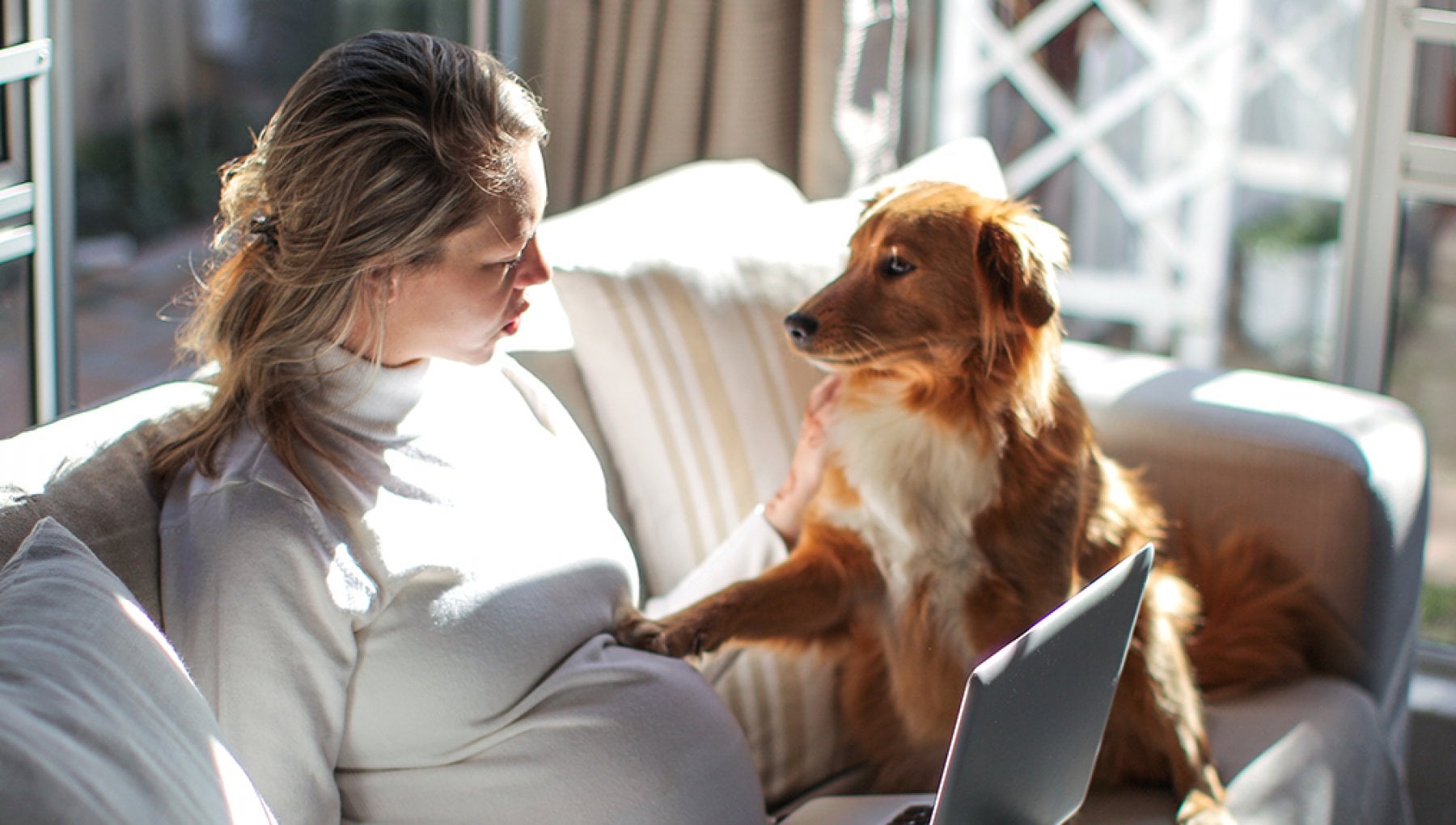 Lei è incinta e non vuole più il cane in casa, il marito non sa cosa ...