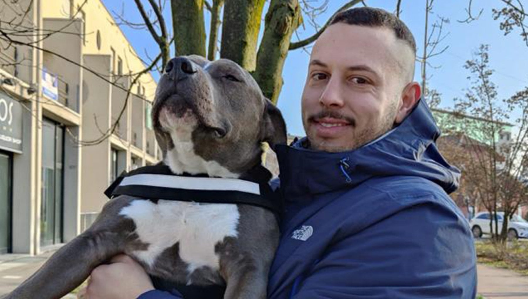 Il lieto fine di Jason, adottato il cane sfrattato che tornava sempre ...