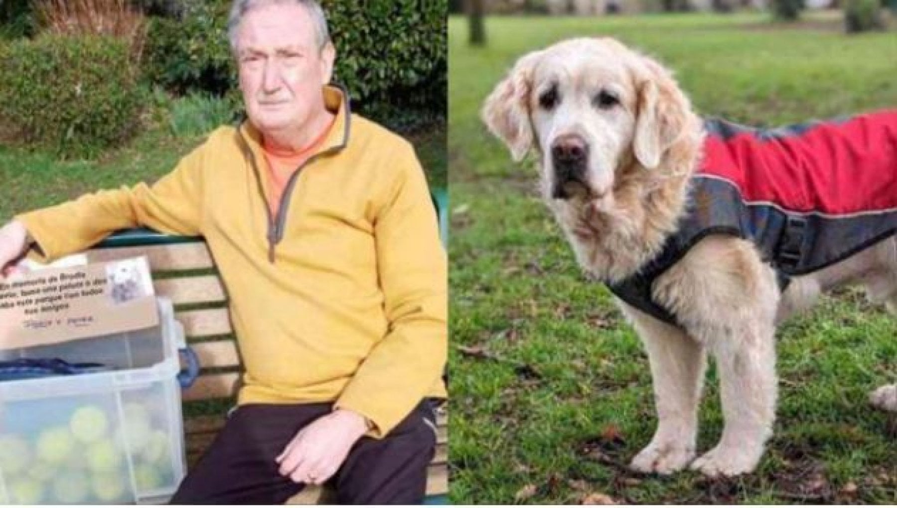 L'omaggio dei proprietari del cane Brodie: "Al parco un sacco pieno di ...