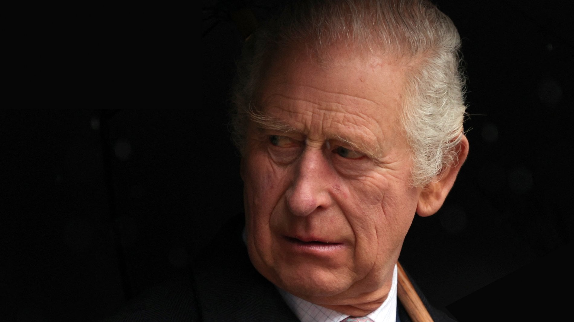 The King: ritratto di Carlo III - la Repubblica