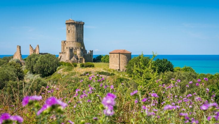 Festa del Mediterraneo, a Pollica il mondo del Gusto si unisce all ...