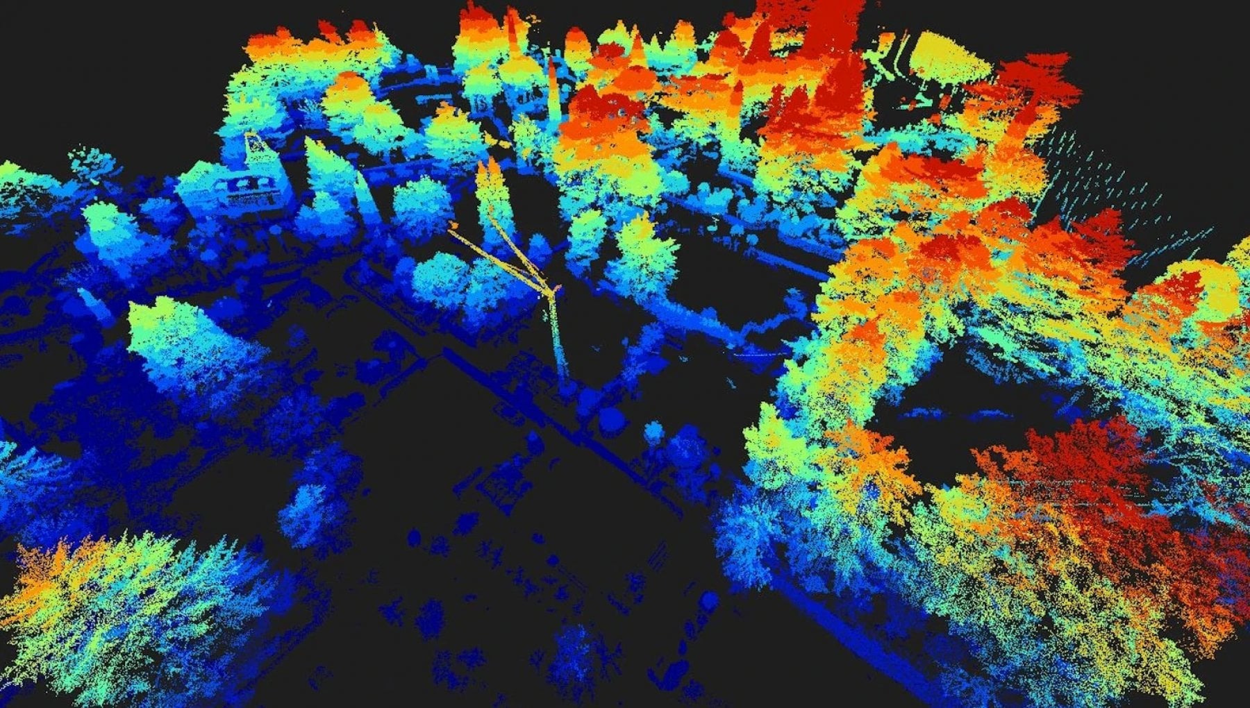 Un gemello digitale per proteggere gli alberi urbani - la Repubblica