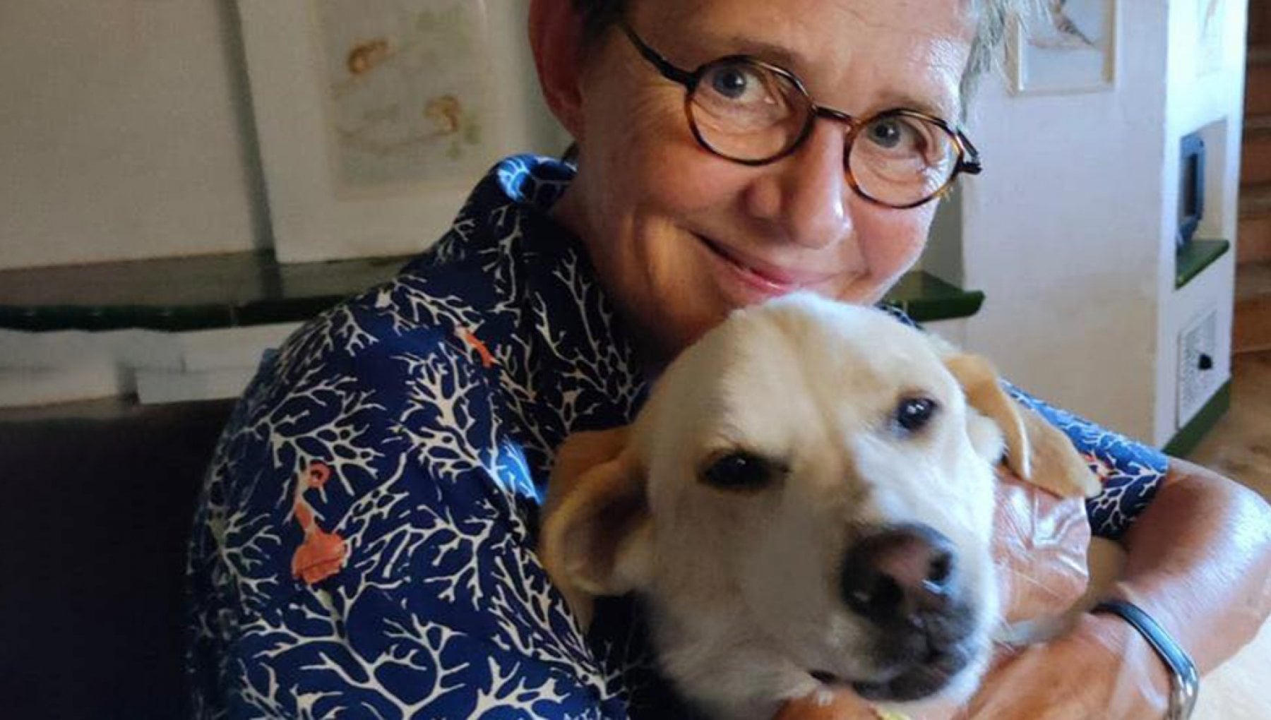Susanna Tamaro adotta il cane Pongo: "Era da sette anni in canile, ora ...
