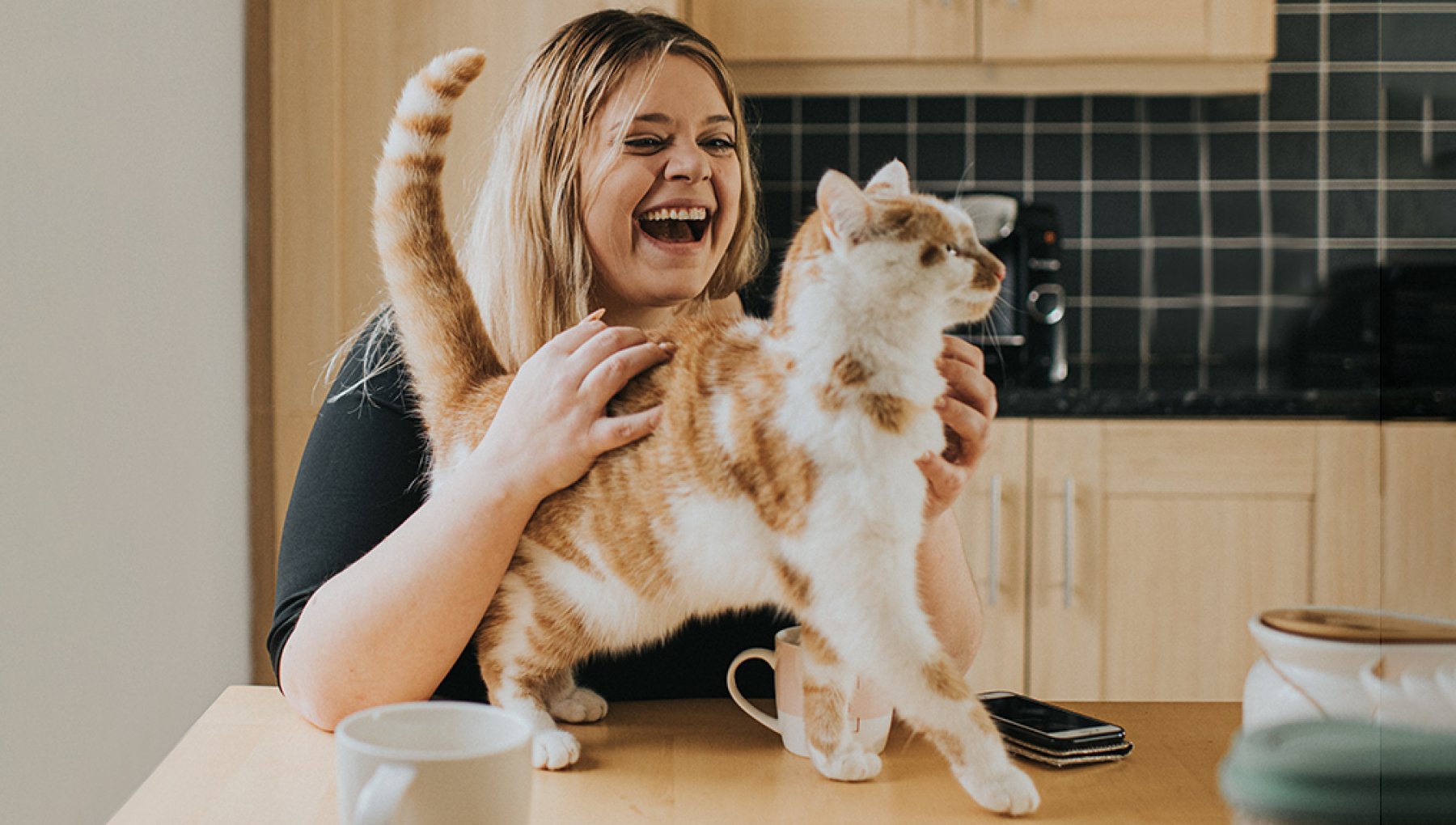 Il tuo gatto punta la coda verso di te? Il motivo è più dolce di quello ...