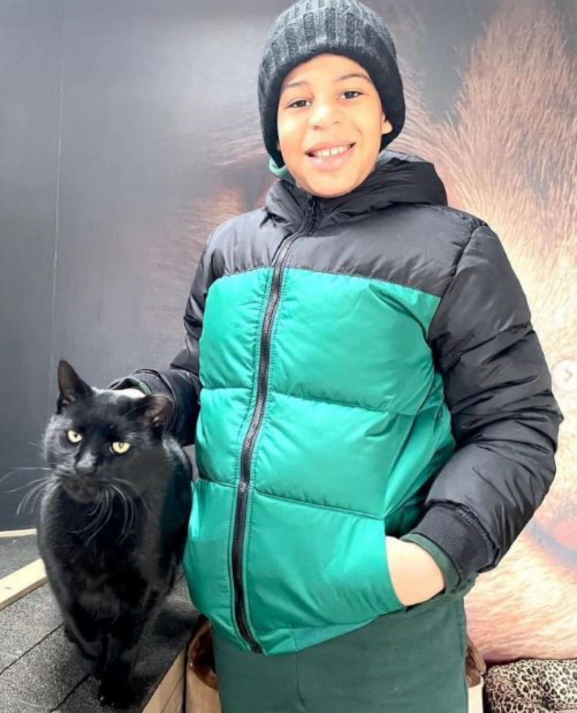 La storia di Shon, 11 anni, il super eroe che sfama e assiste i gatti ...