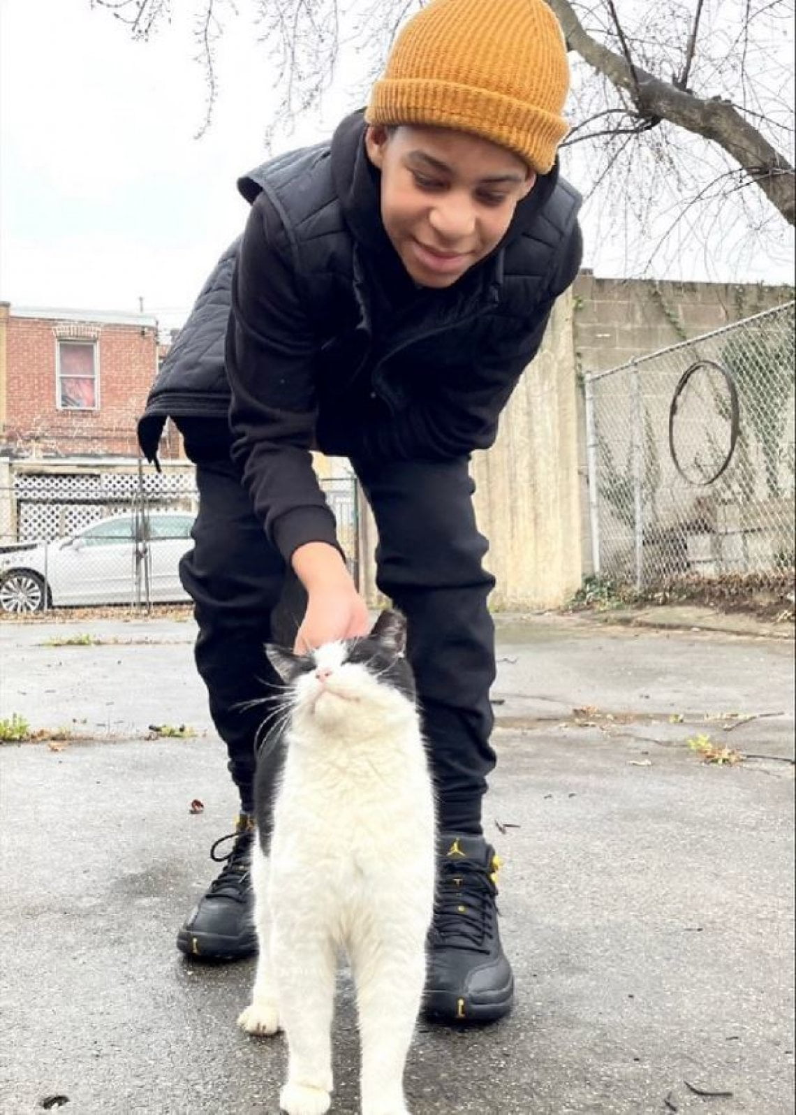 La storia di Shon, 11 anni, il super eroe che sfama e assiste i gatti ...