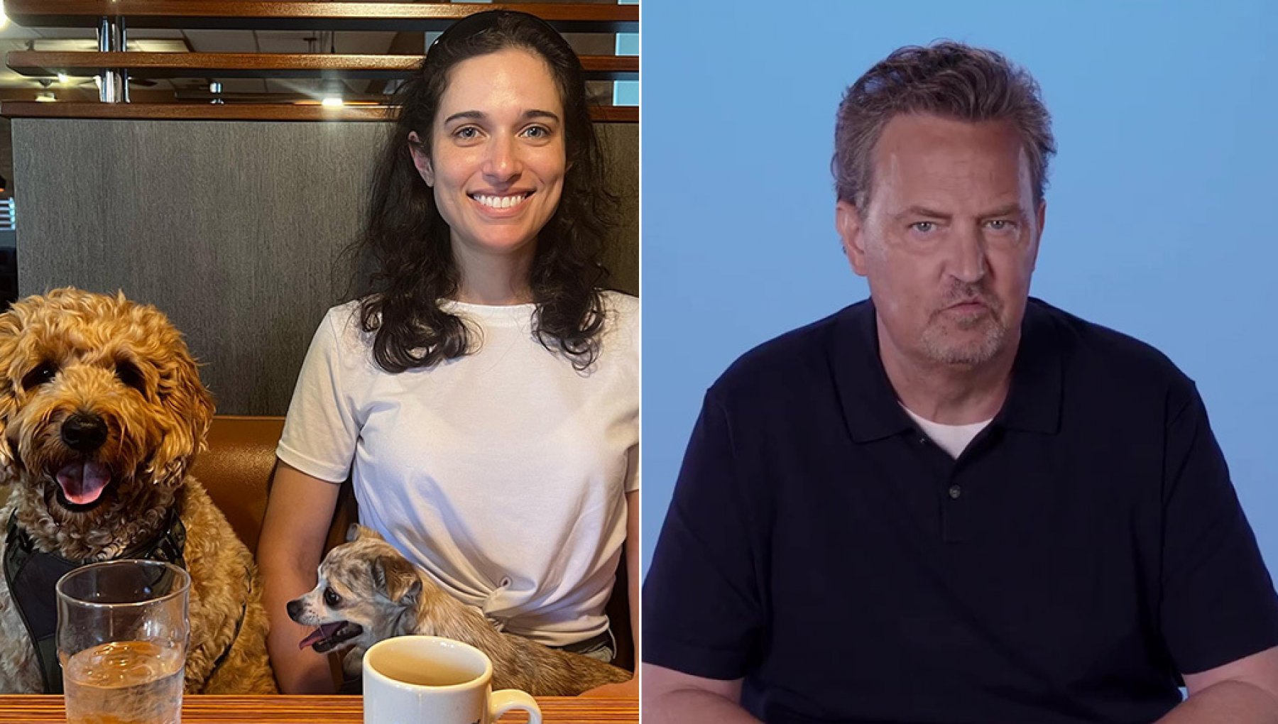 "Lisa Kudrow non adotterà il cane Alfred di Matthew Perry: lui non ne ...