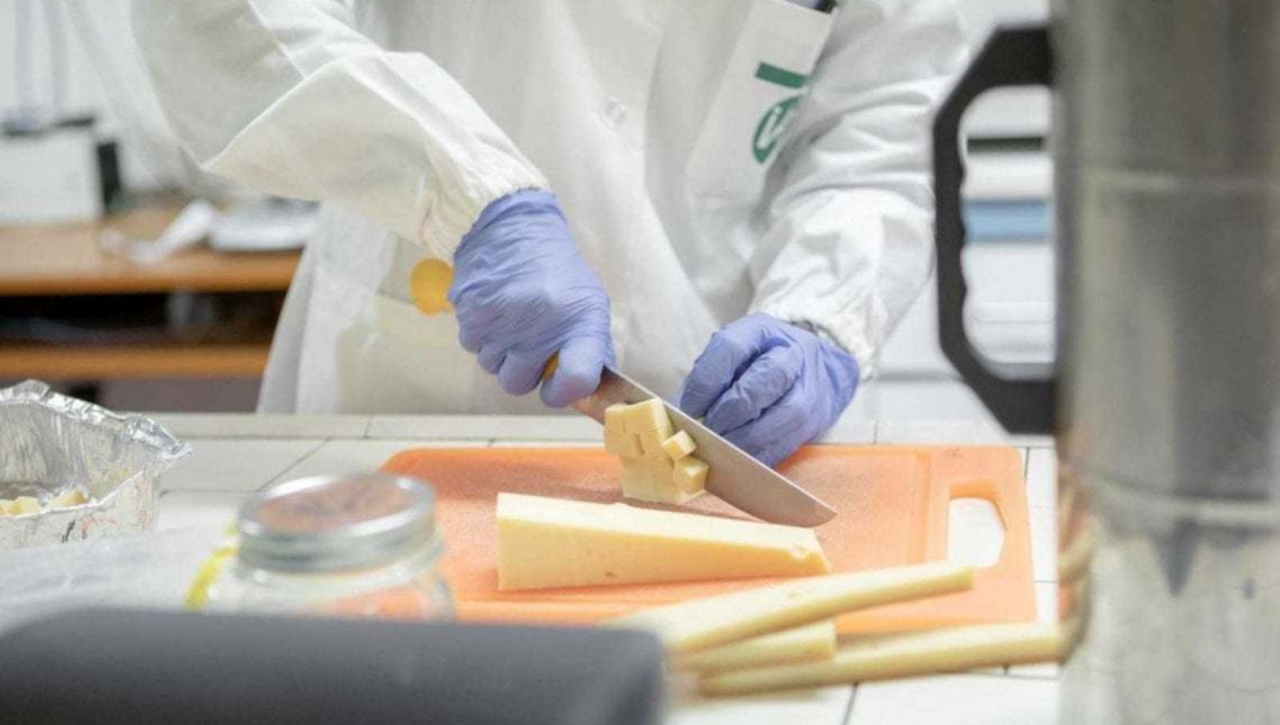 Formaggi, caglio animale, vegetale o microbico? A ogni tipo un sapore ...