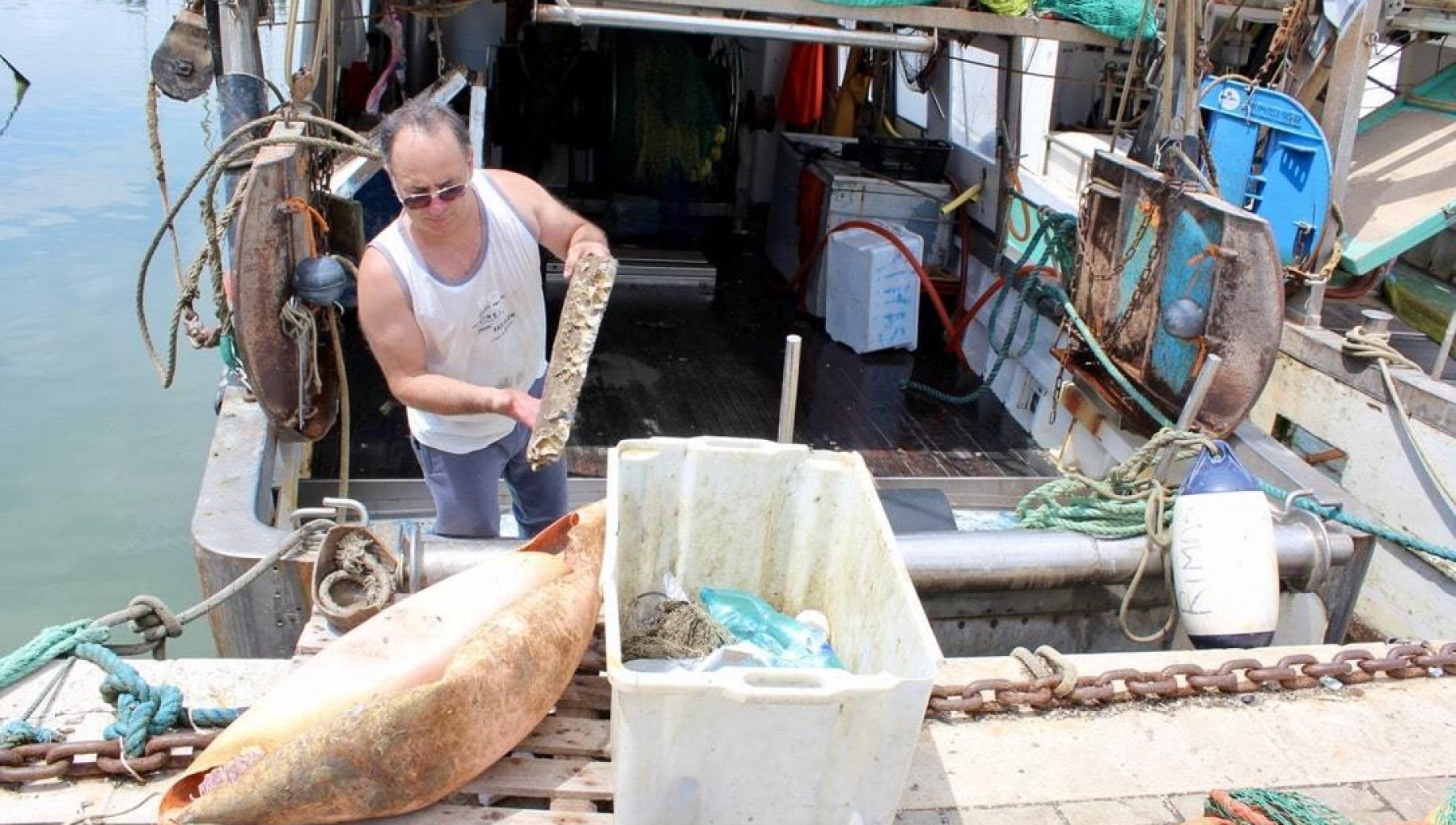 Anno 2050: il peso della plastica negli oceani rischia di superare ...