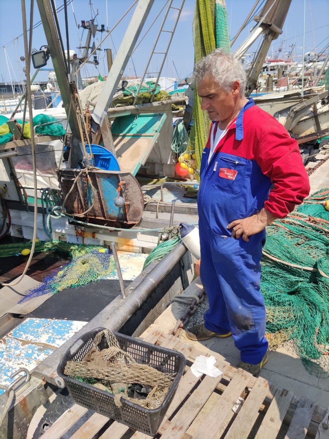 Anno 2050: il peso della plastica negli oceani rischia di superare ...