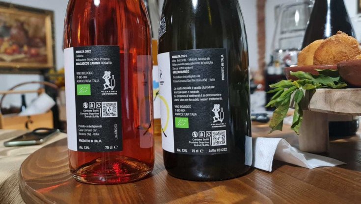 Etichette vino, il Ceev: "Troppa confusione, l'Ue sospenda le linee ...