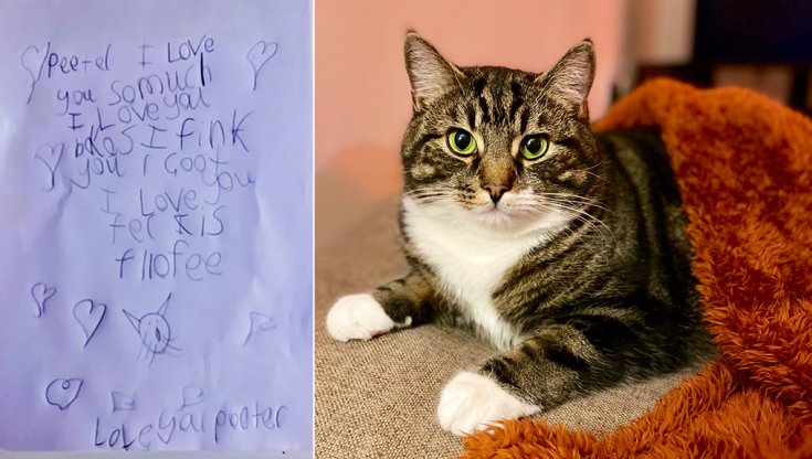 Il piccolo Philip scrive lettere d'amore e di amicizia al gatto Peter ...