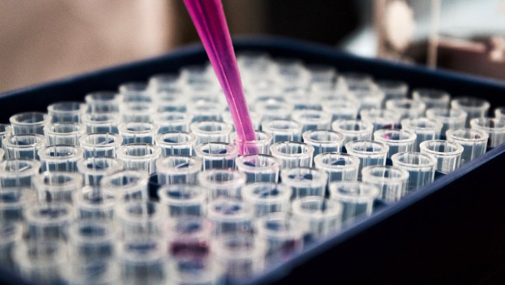 Quando sarà pronto il nuovo vaccino contro l'herpes genitale? - la ...