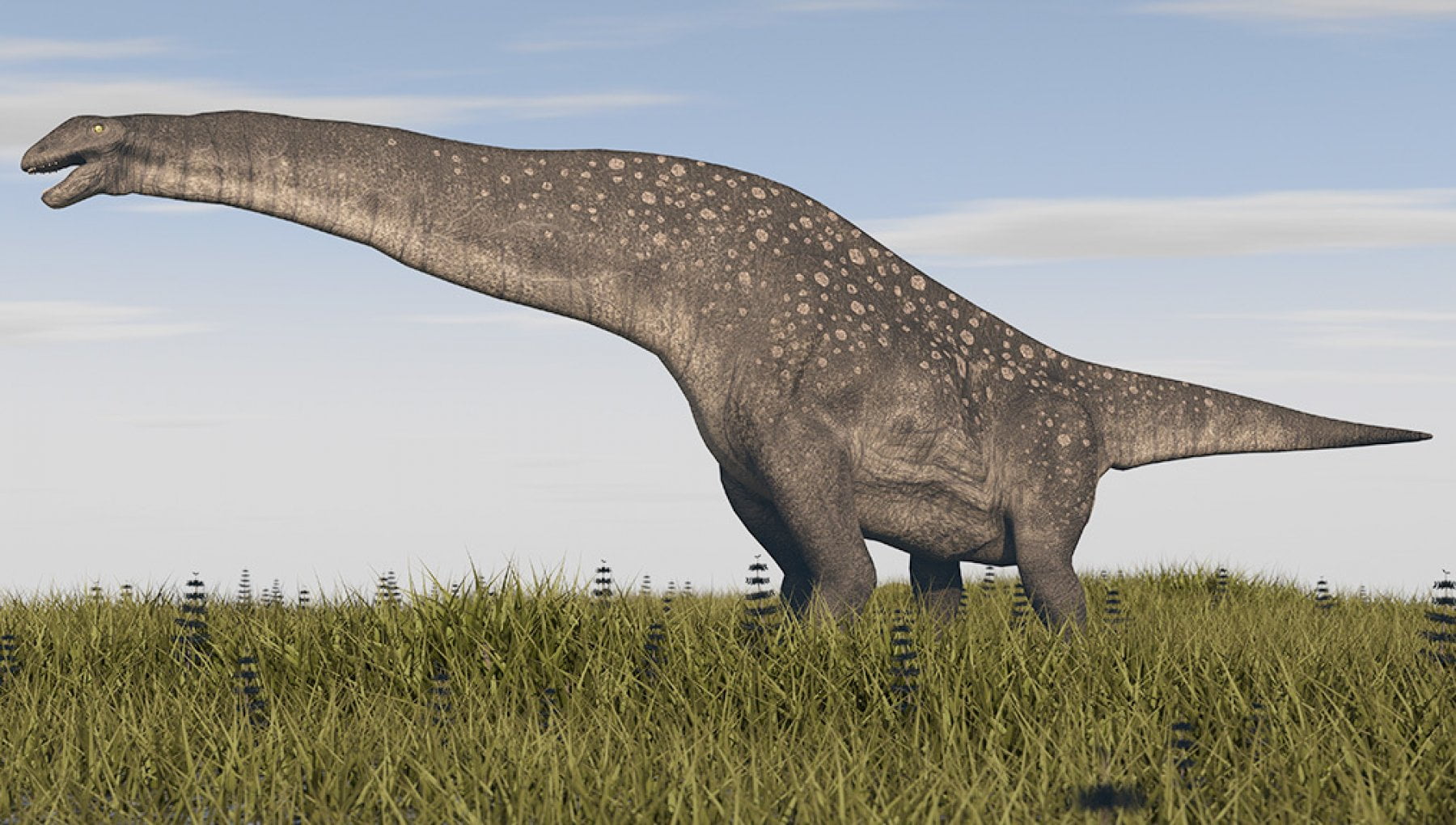 A passeggio col cane scopre un titanosauro di 70 milioni di anni e ...