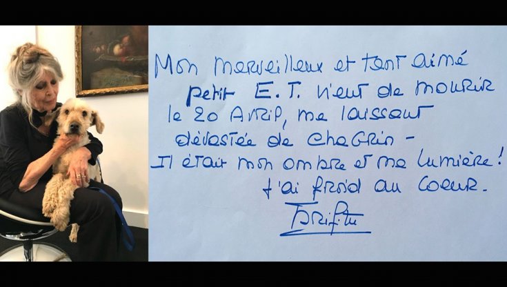 Brigitte Bardot piange il suo cane E.T.: "È morto, era la mia ombra e ...