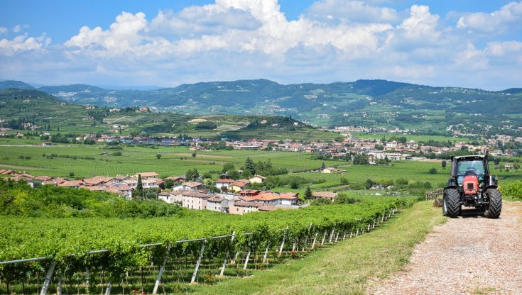 Amarone in Capitale, un viaggio sensoriale da fare col bicchiere in ...