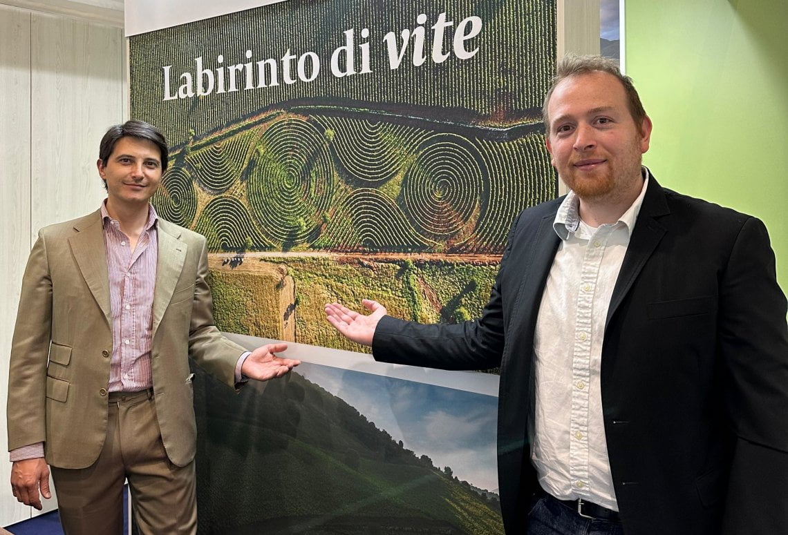 Tre ettari e quattro ingressi: il vigneto-labirinto più grande del ...