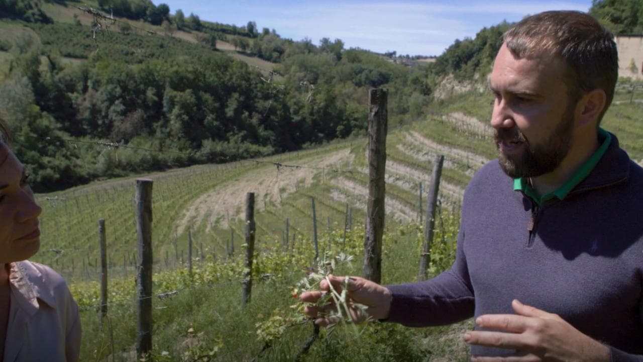 In vigna con Luca Roagna: "Manteniamo la biodiversità per fare grande ...