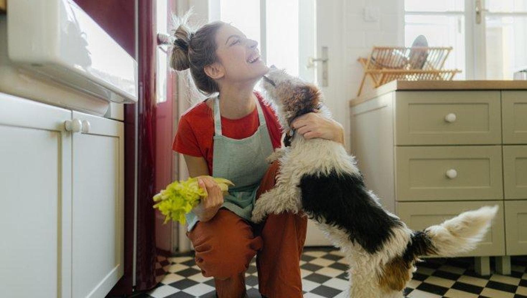 I cibi estivi che il tuo cane deve assolutamente evitare - La Stampa