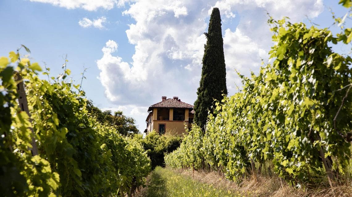 Cascina Gilli, Freisa da Champions: e in “panchina” c’è anche Gasperini ...
