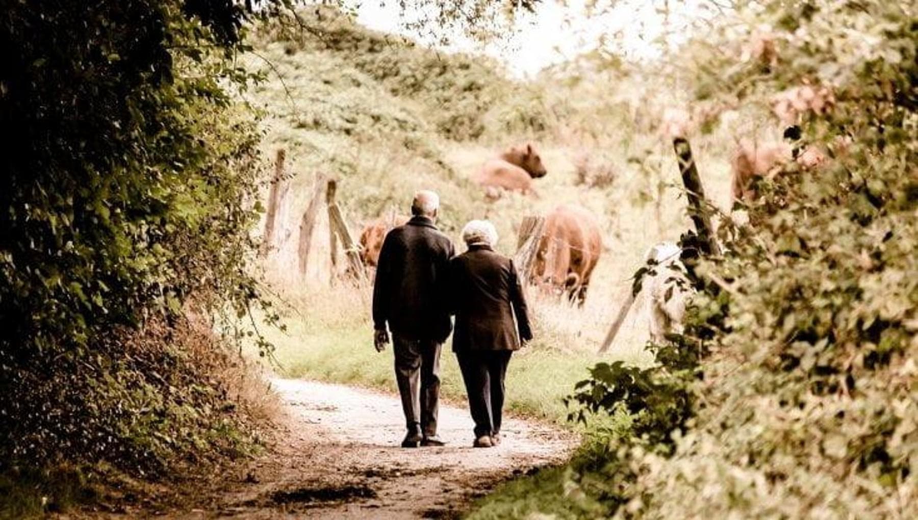 Essere vecchi: perché è così difficile accettarlo - la Repubblica