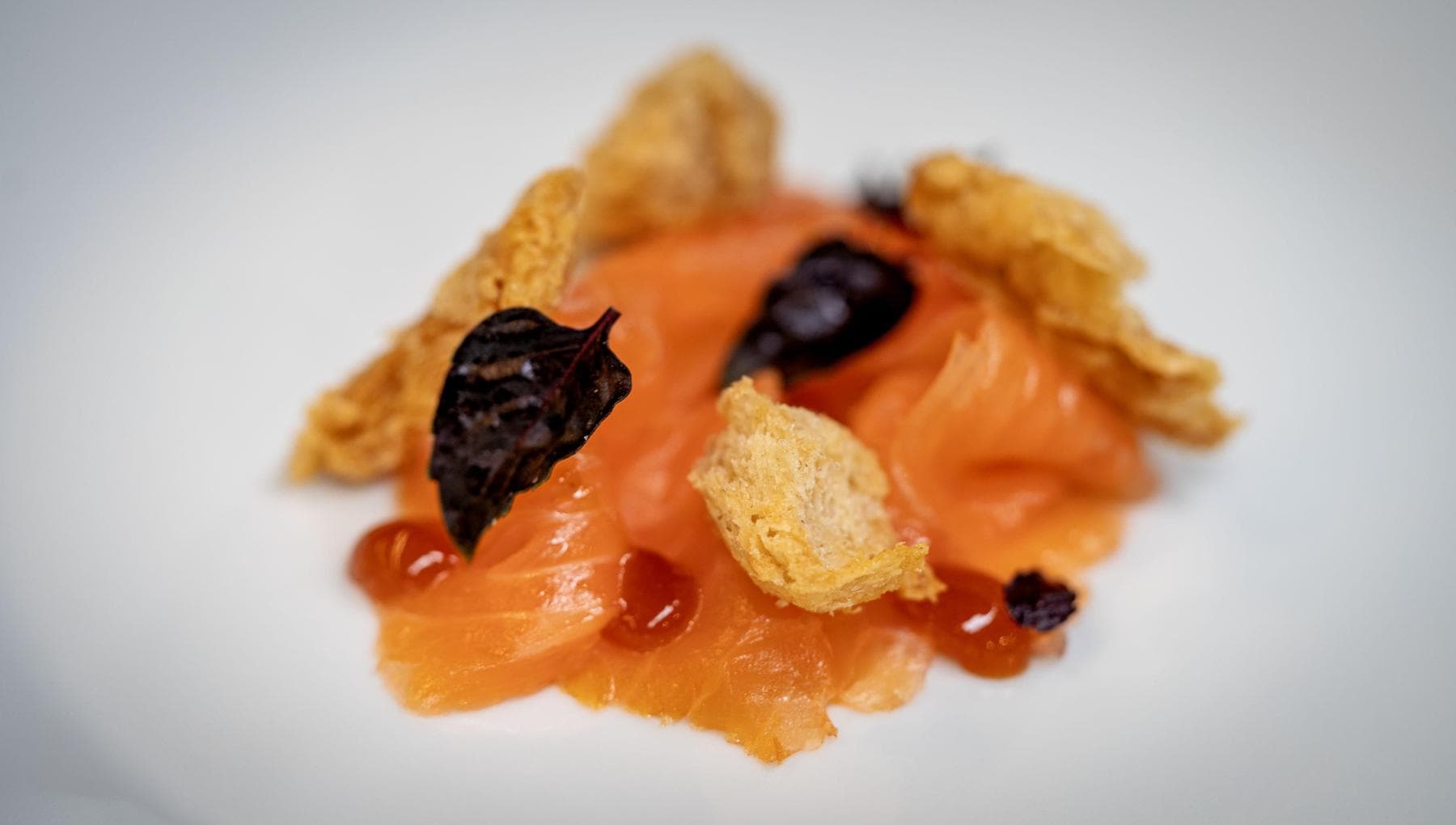 La via del salmone da Ancona all’Alaska, passando per la Norvegia: così ...