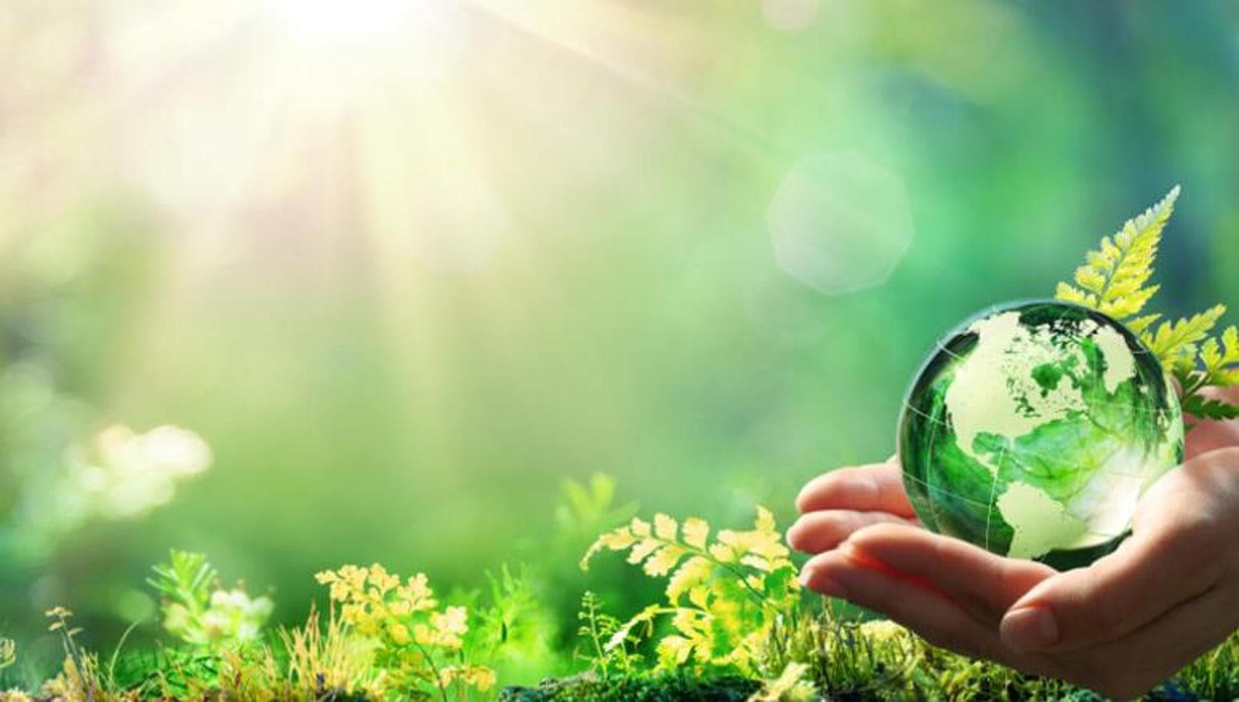 Massimo Tavoni: “La transizione ecologica dipende dall’equilibrio tra ...