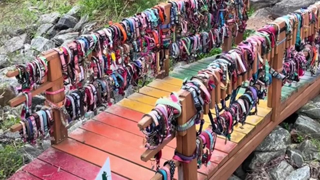 Il "ponte dell'arcobaleno" distrutto dall'uragano Helene, era il luogo ...