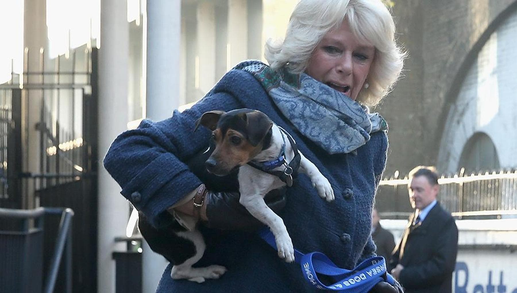 La regina Camilla piange la morte del suo cane Beth: “Ha portato tanta ...