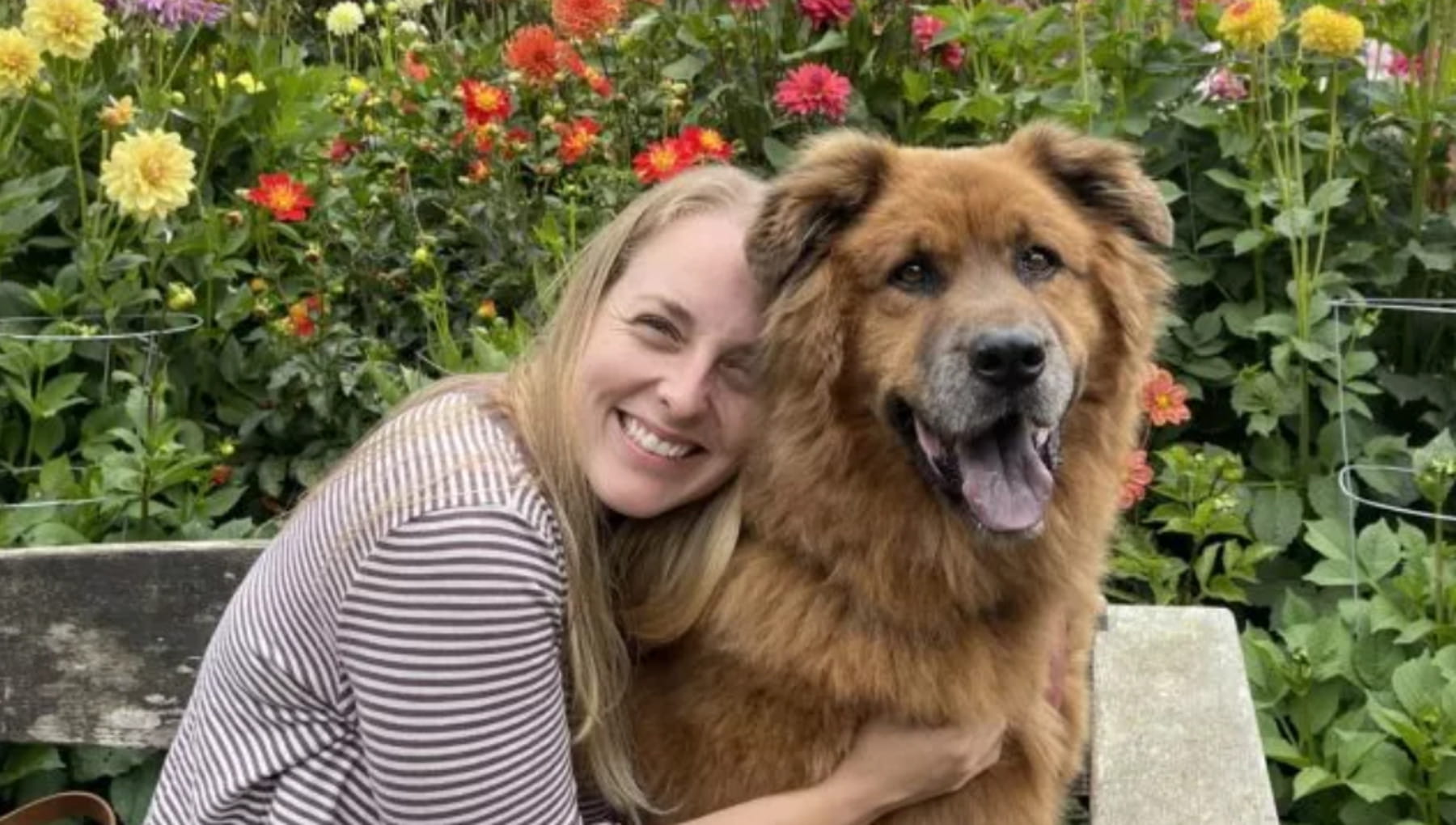“Al mio cane Diesel rimanevano 20 giorni di vita, così ho dovuto ...